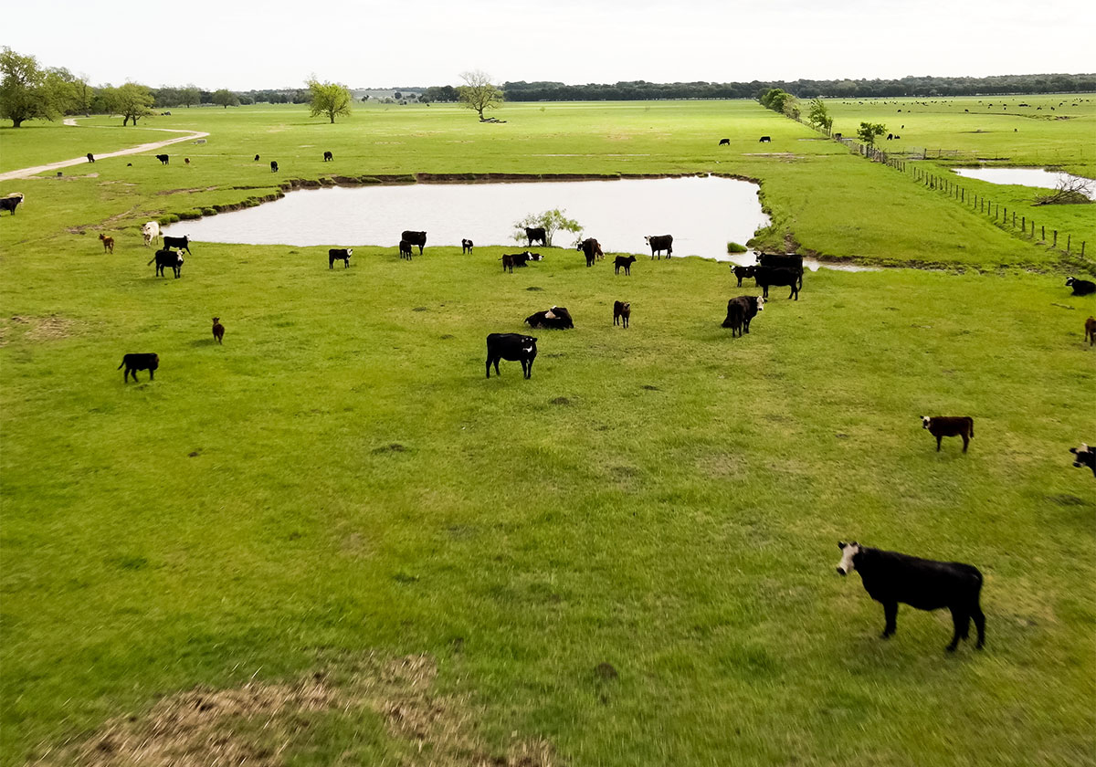 Jackson Hill Ranch | 2130 Acres | Falls County, Texas | Oldham Goodwin ...